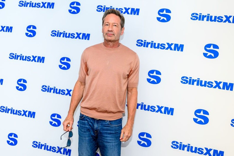 David Duchovny czuje się odkrywcą Angeliny Jolie | londynek.net